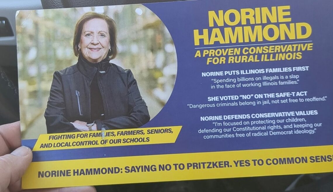 Illinois GOP Accused of Illegal Postage Scheme to Protect Norine ...